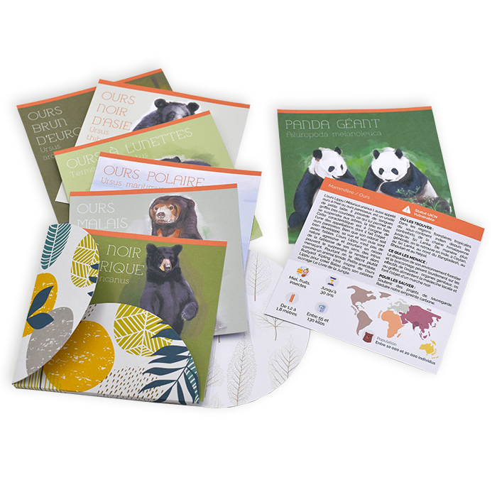 Cartes animaux "Les Ours" à collectionner | BoutiKideaz